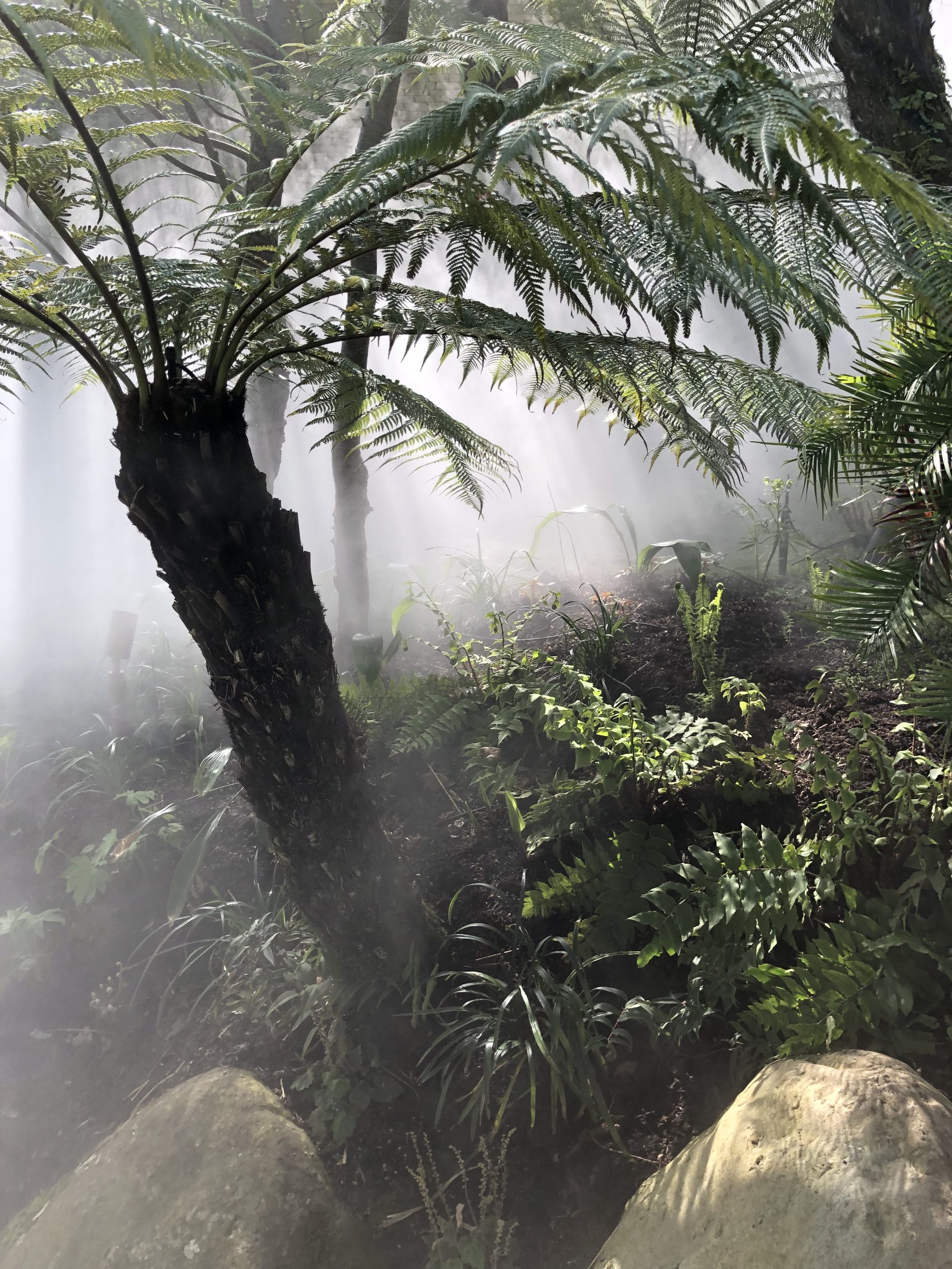 Photos & Projects | KoolFog Ltd.